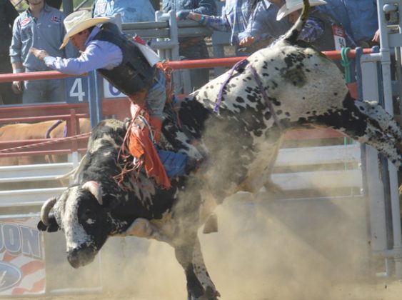 Lakeside’s longtime tradition in celebrating its Western Days Parade ...