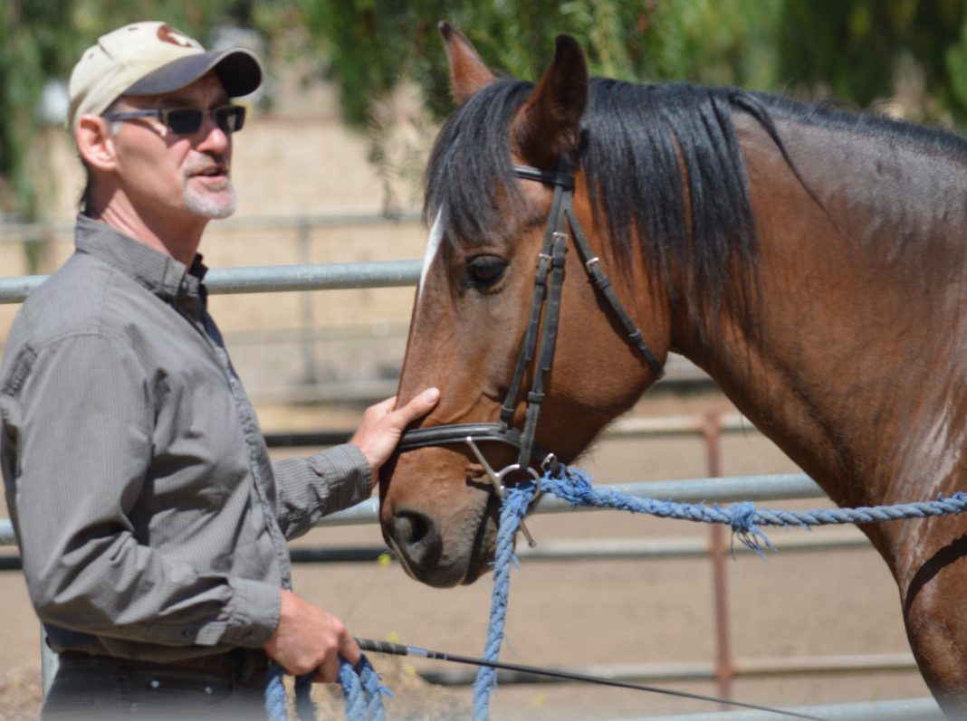 The secret of horsemanship with author, trainer Chris Irwin | The East ...
