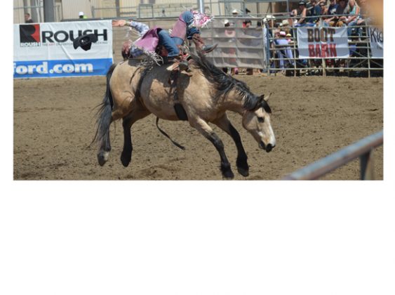 Cowboy’s tumble but never fall down as the crowd cheers them on at the ...
