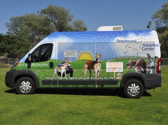 Greyhound Adoption Center debuts state-of-the-art rescue van | The East ...