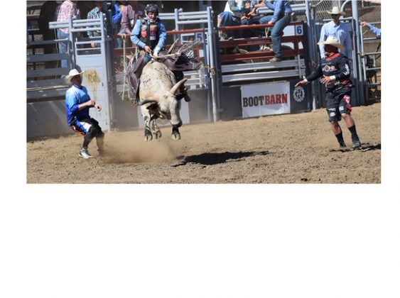 53rd Annual Lakeside Rodeo brings three days of action packed extreme ...