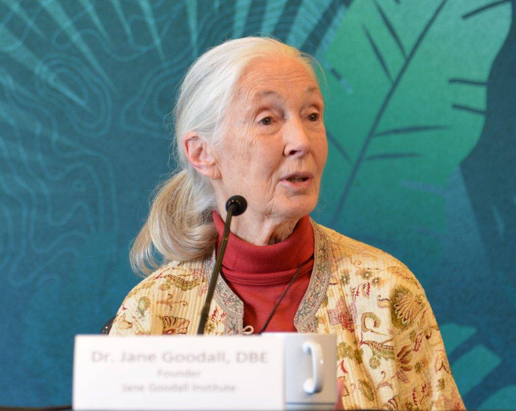 Jane Goodall visits San Diego, speaks about the indomitable human ...