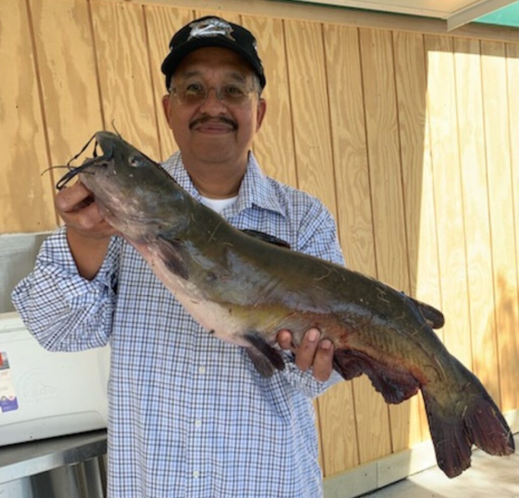Santee Lakes to swim in catfish | The East County Californian
